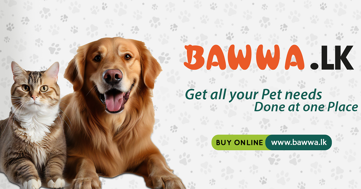 BAWWA.LK | Pet Shop in Sri Lanka - Free delivery Islandwide