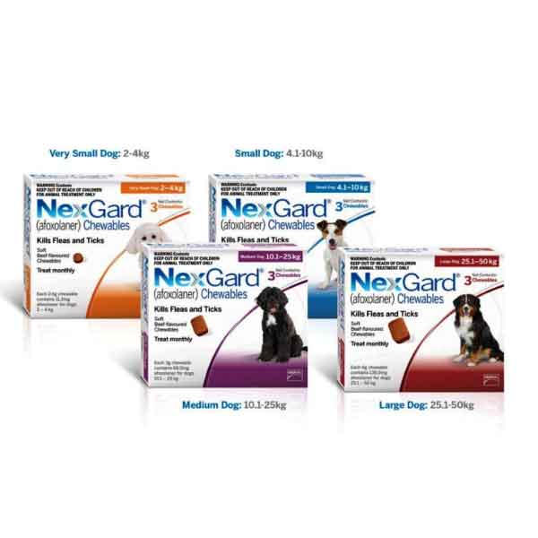Nexgard (10-25) - L | Bawwa